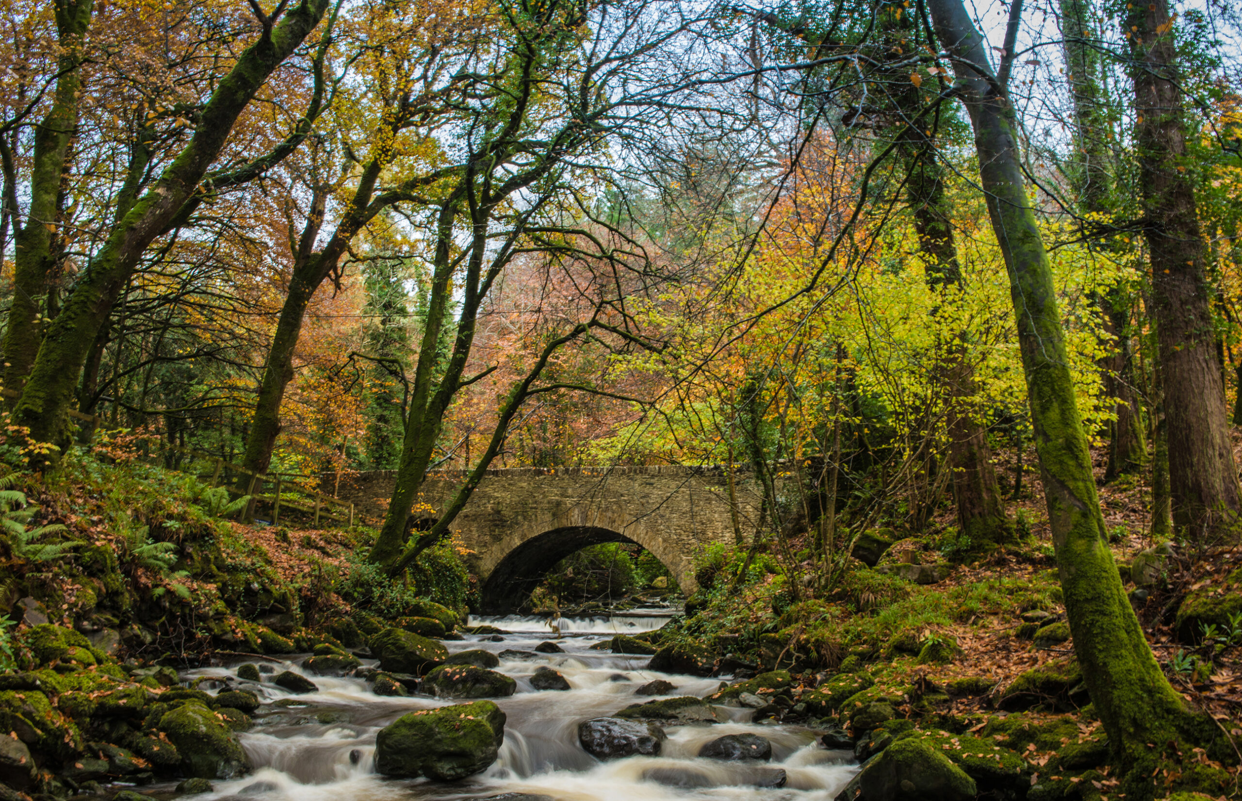 Outdoor Activities in Killarney | Great Southern Hotel